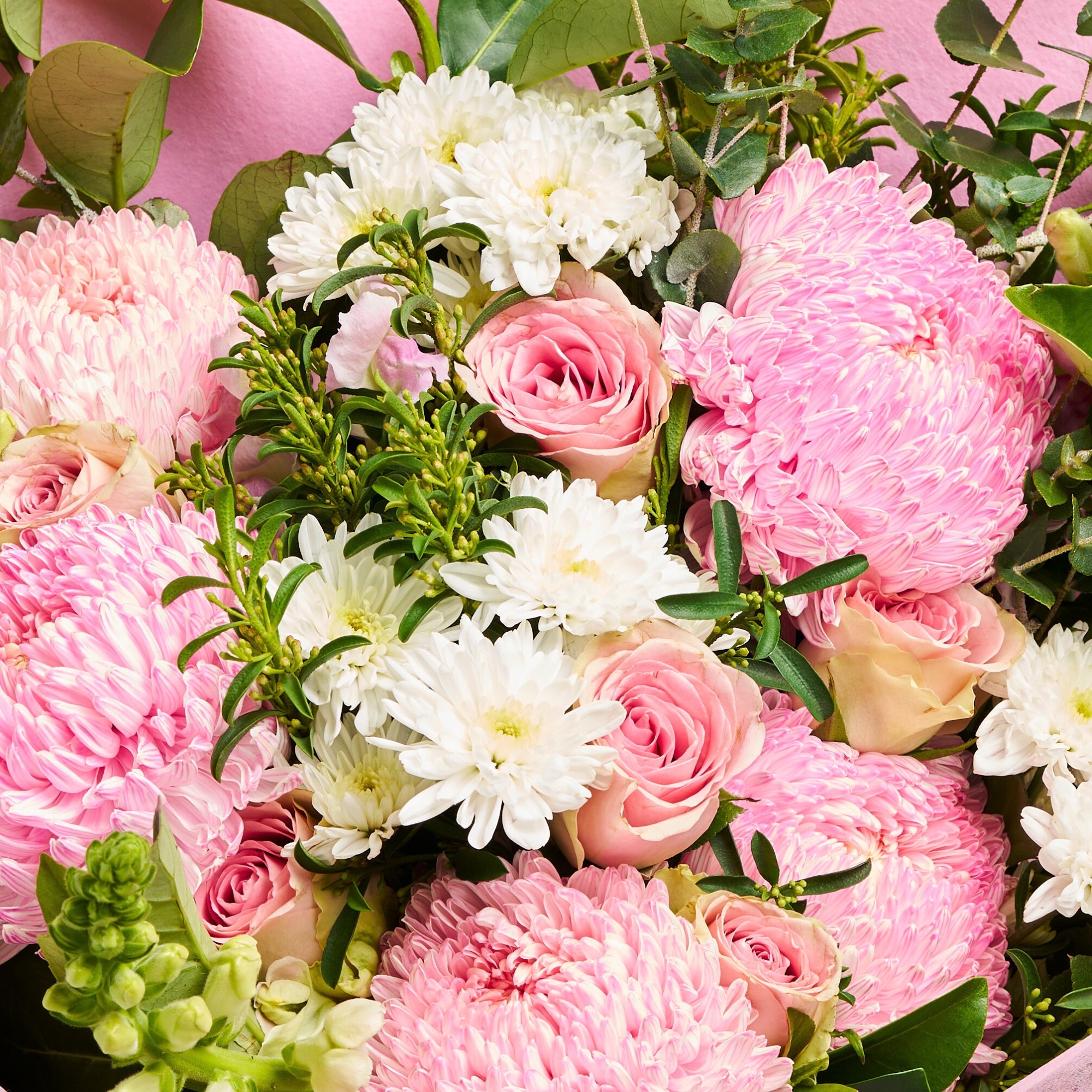 Blush & Bloom